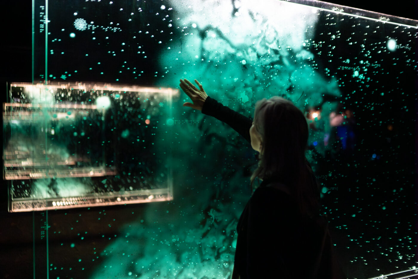 The Wave of South African Cinema: Films That You Should Watch - Between ...