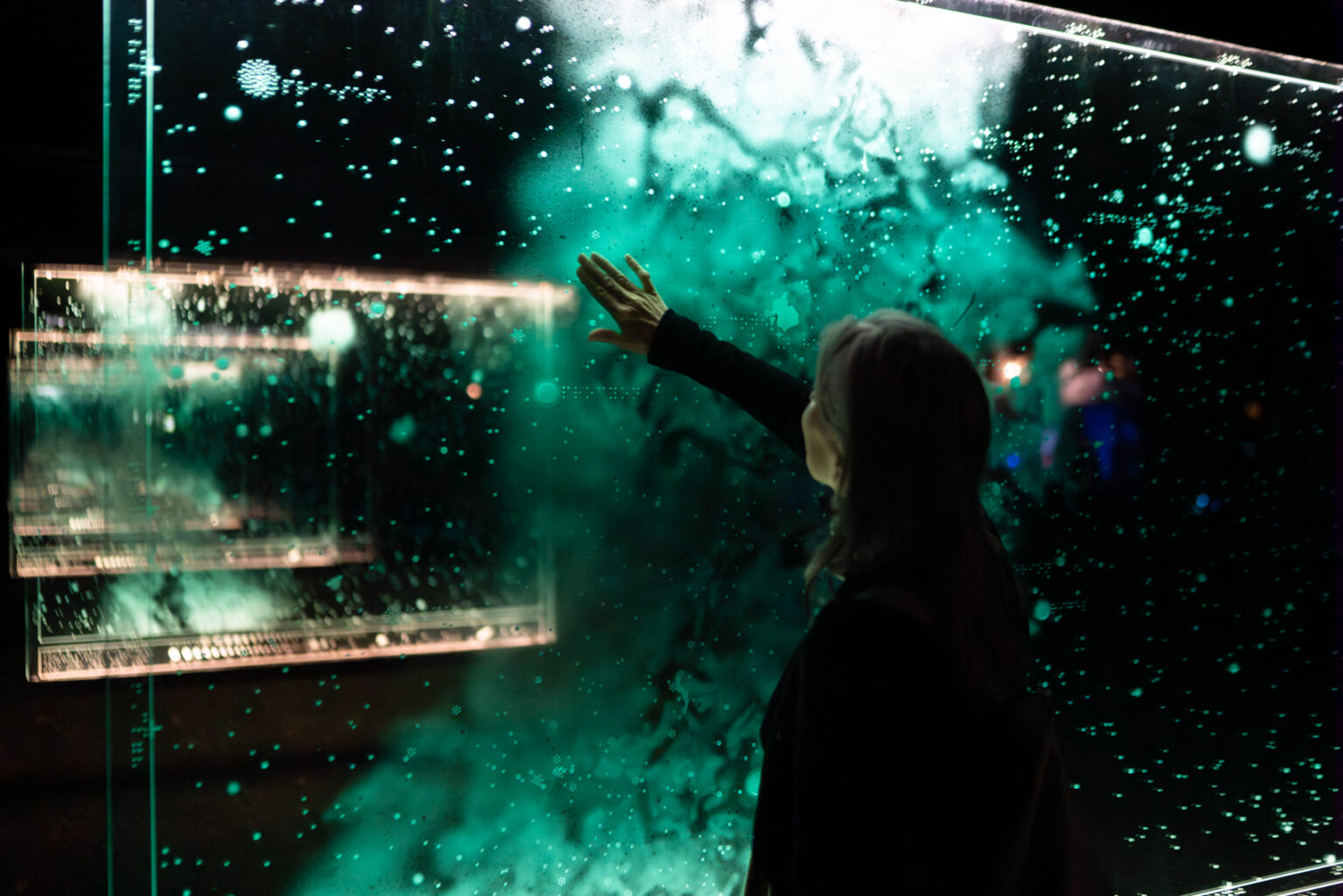 Spier’s Light Art Exhibition Returns with a Thought-Provoking Twist ...